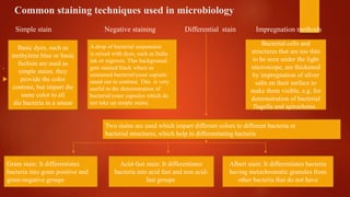 Staining in Microbiology | PPTX