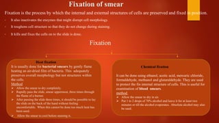Staining in Microbiology | PPTX