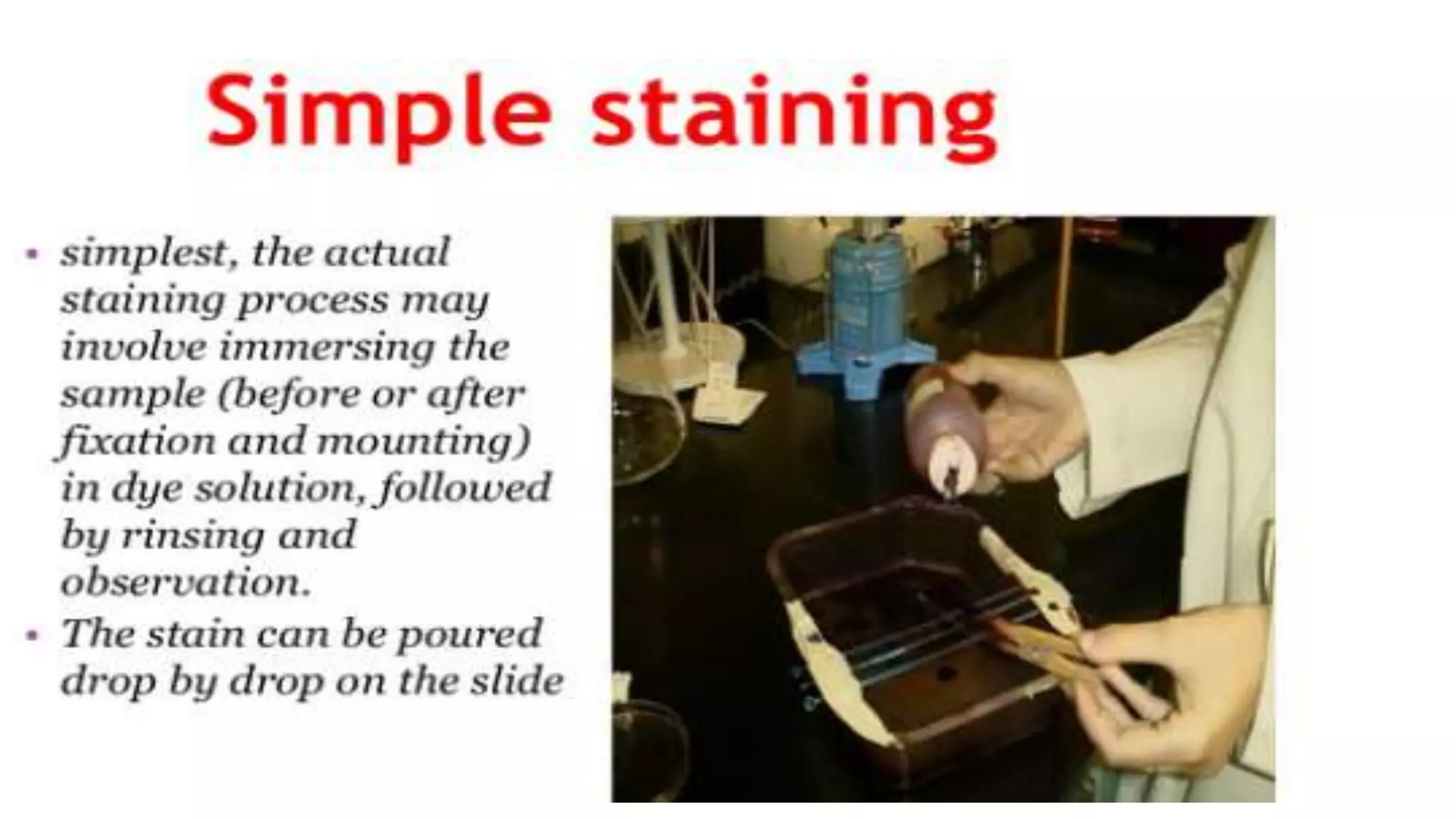 Staining Methods.pptx