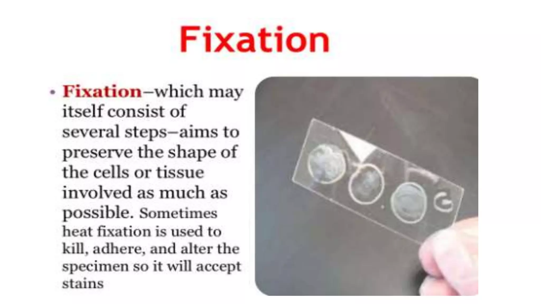 Staining Methods.pptx