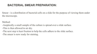 Staining Methods.pptx