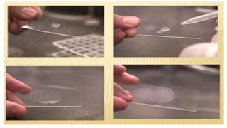 Staining Methods.pptx