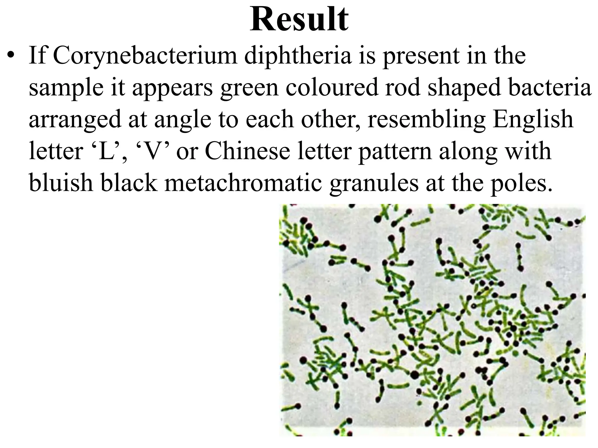 Staining methods.pptx