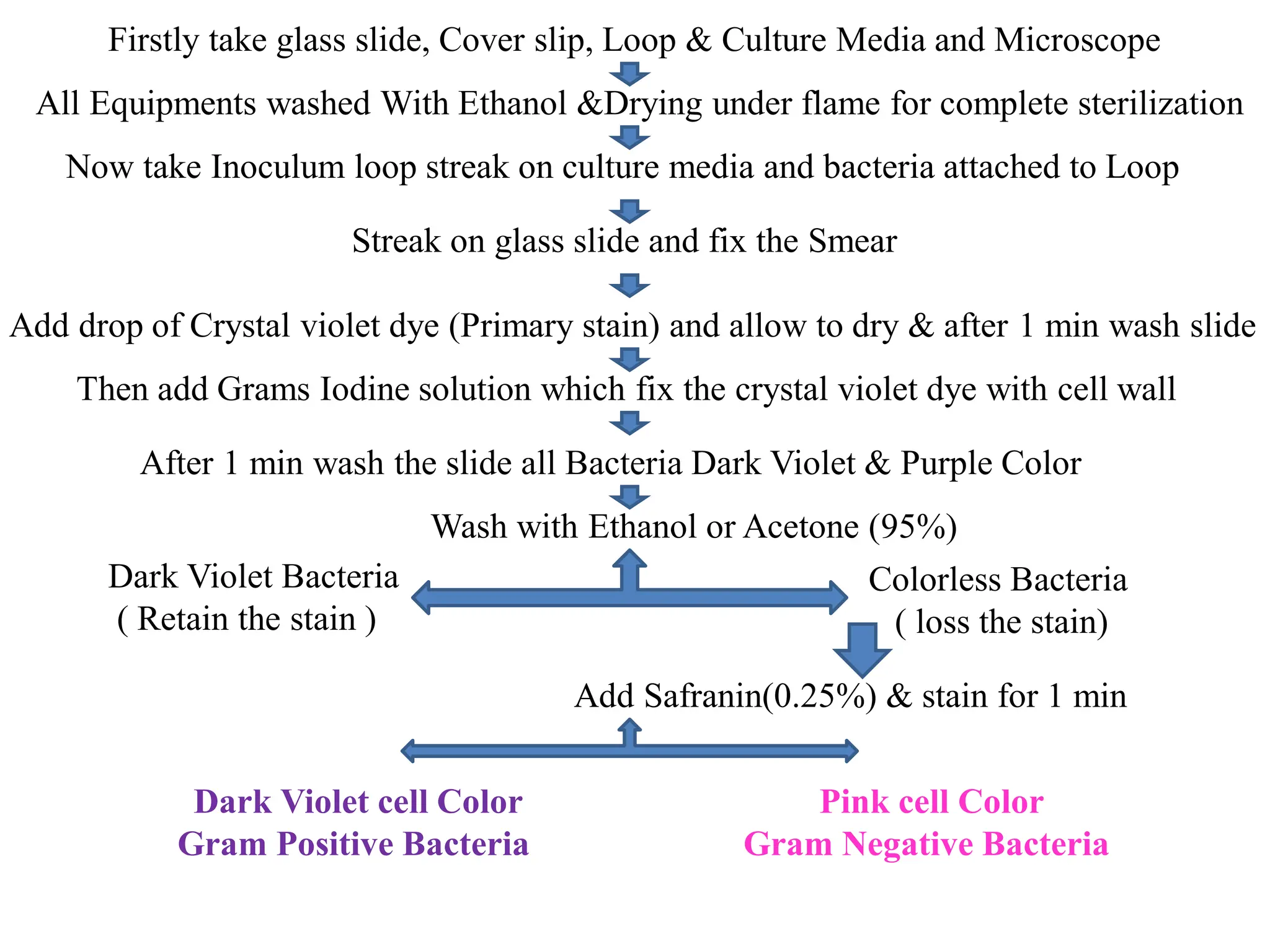 Staining Methods.pdf