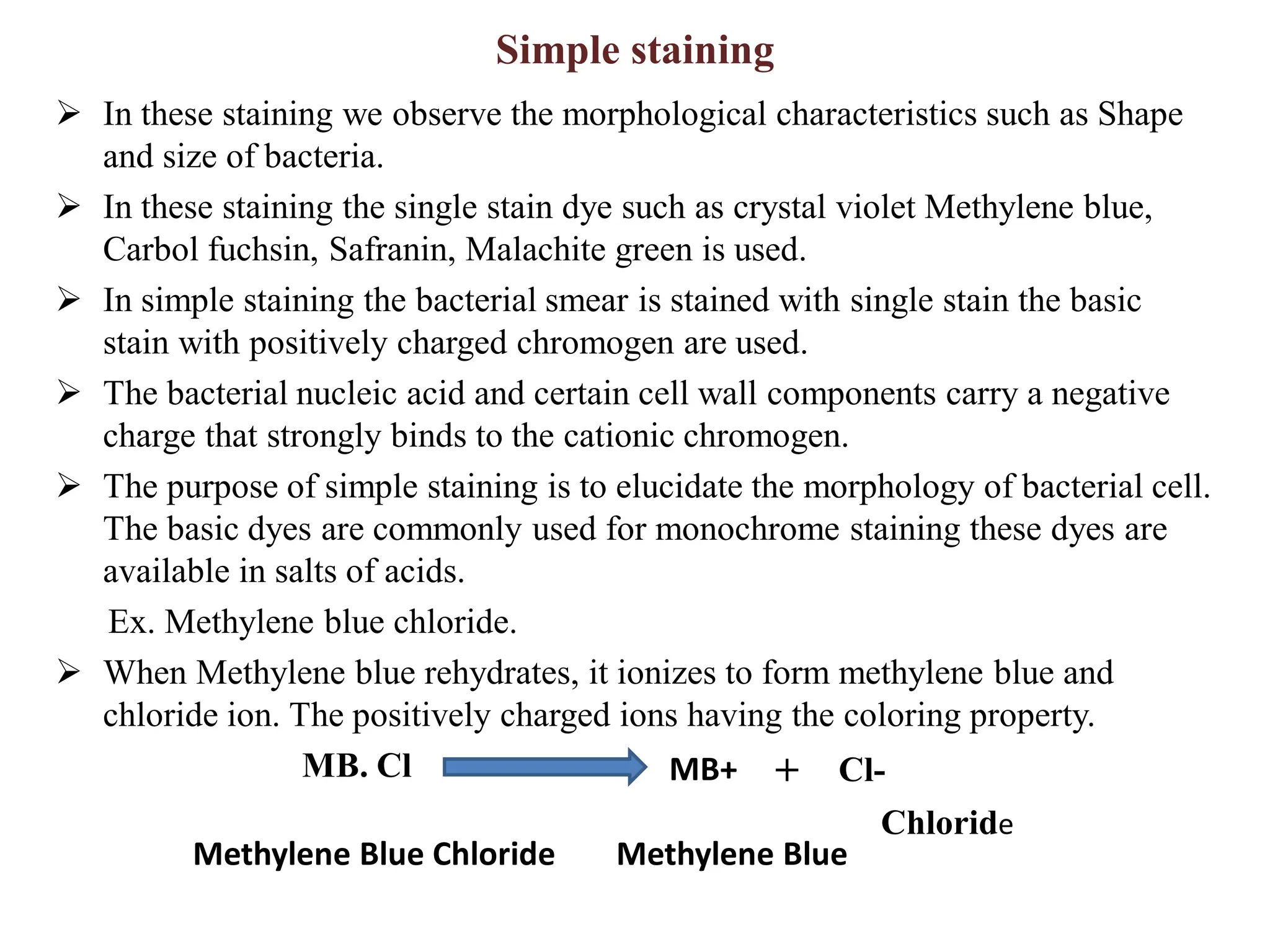 Staining Methods.pdf