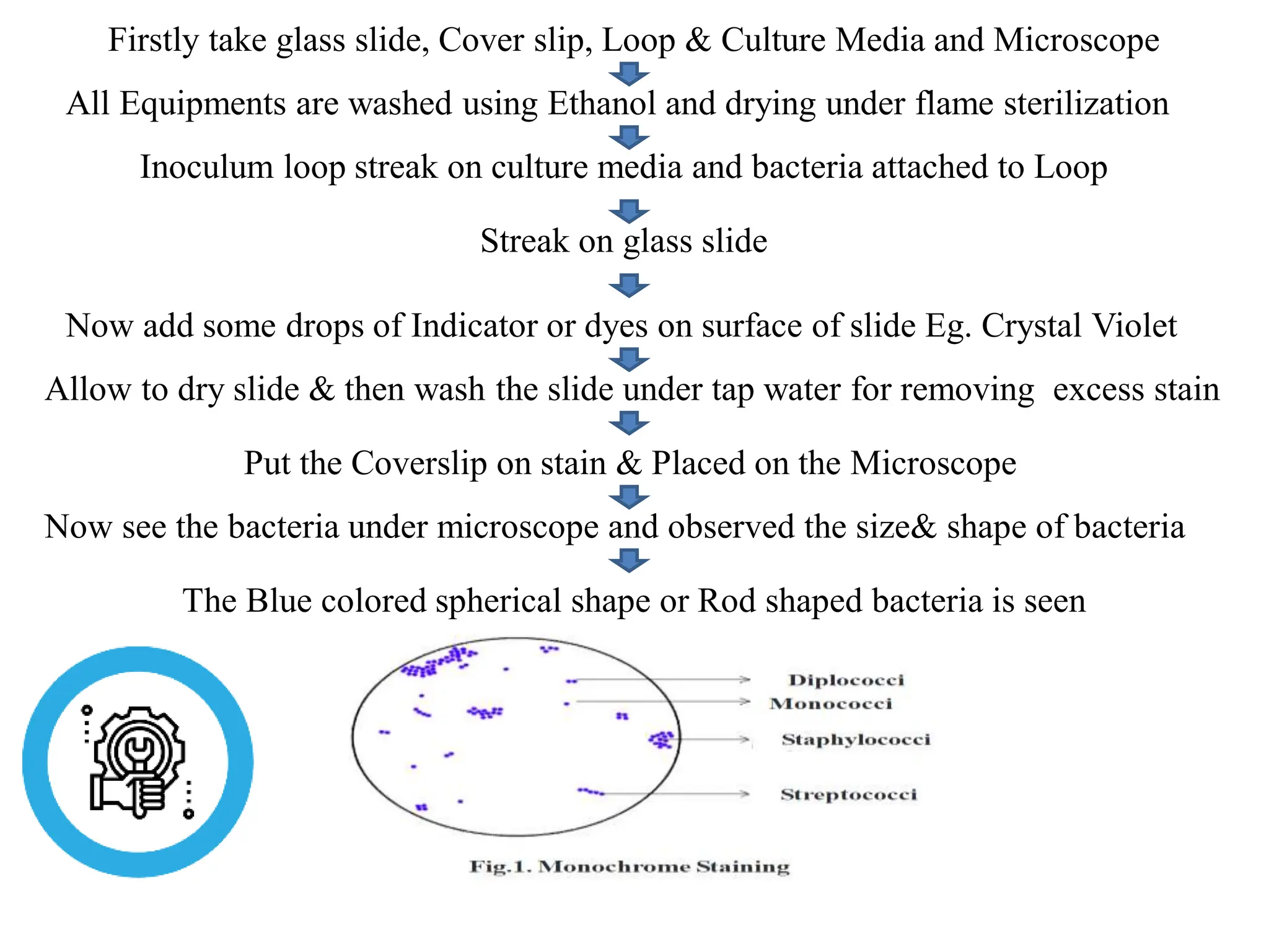 Staining Methods.pdf