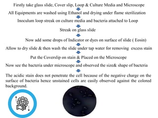 Staining Methods.pdf