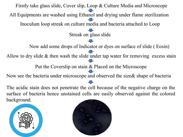 Staining Methods.pdf