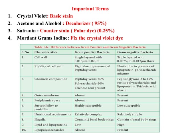 Staining Methods.pdf