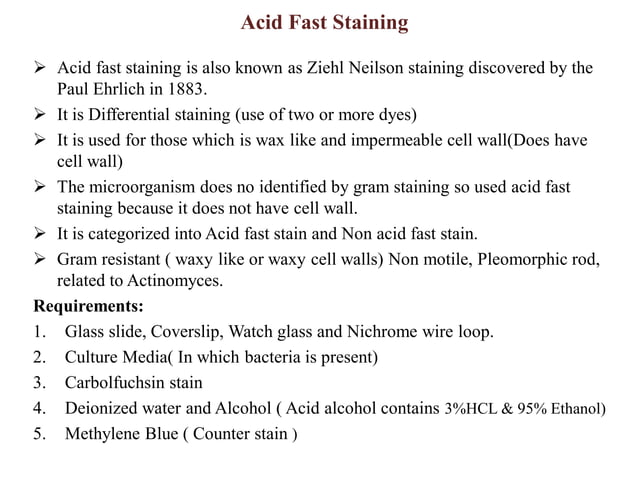 Staining Methods.pdf