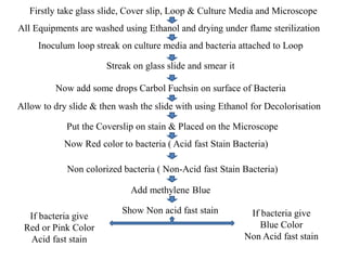 Staining Methods.pdf