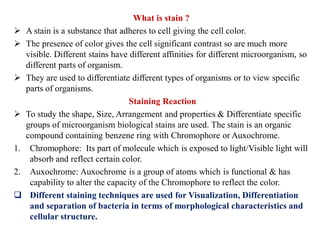 Staining Methods.pdf