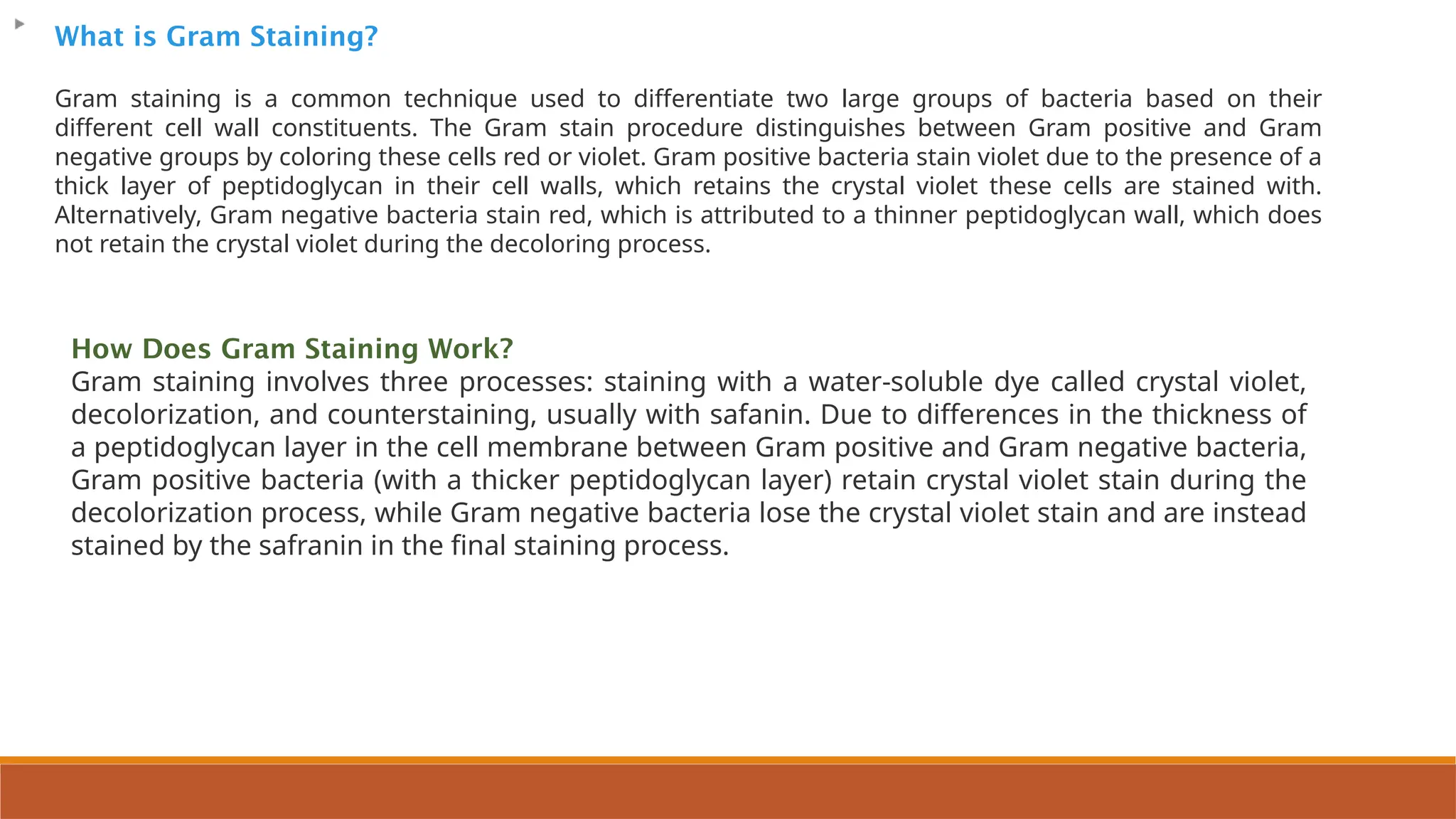 staining micobiology including procedure of gram staining and materials ...