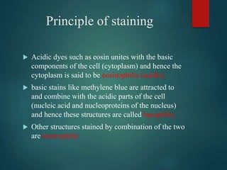 staining of blood smears.pptx