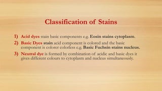Staining of histological slides.pptx