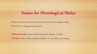 Staining of histological slides.pptx