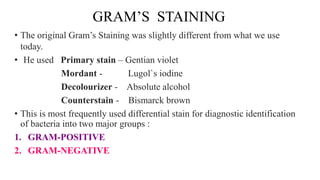 Staining of microorganisms | PPTX