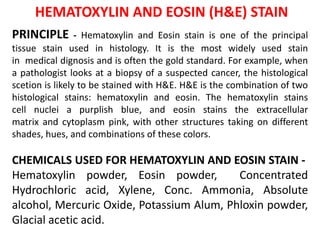 STAINING OF NEURONS [HEMATOXYLIN AND EOSIN (H&E) STAIN].pptx
