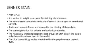 STAINING | PPTX | Blood Disorders | Diseases and Conditions