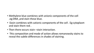 STAINING | PPTX | Blood Disorders | Diseases and Conditions