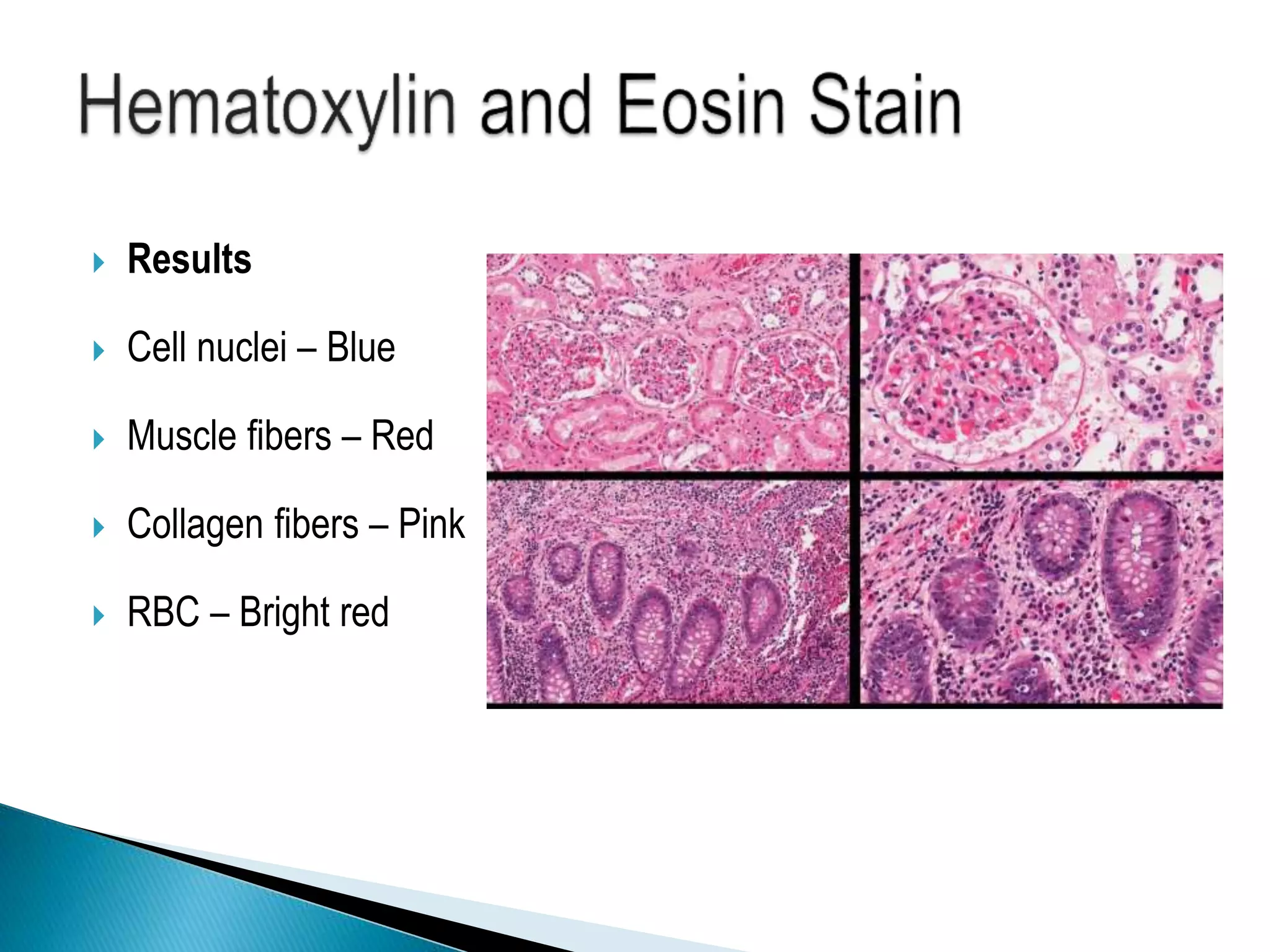 Staining ( rouine and special in cytology) rajiv kumar | PPTX