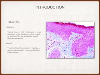 Staining seminar 2 | PPTX