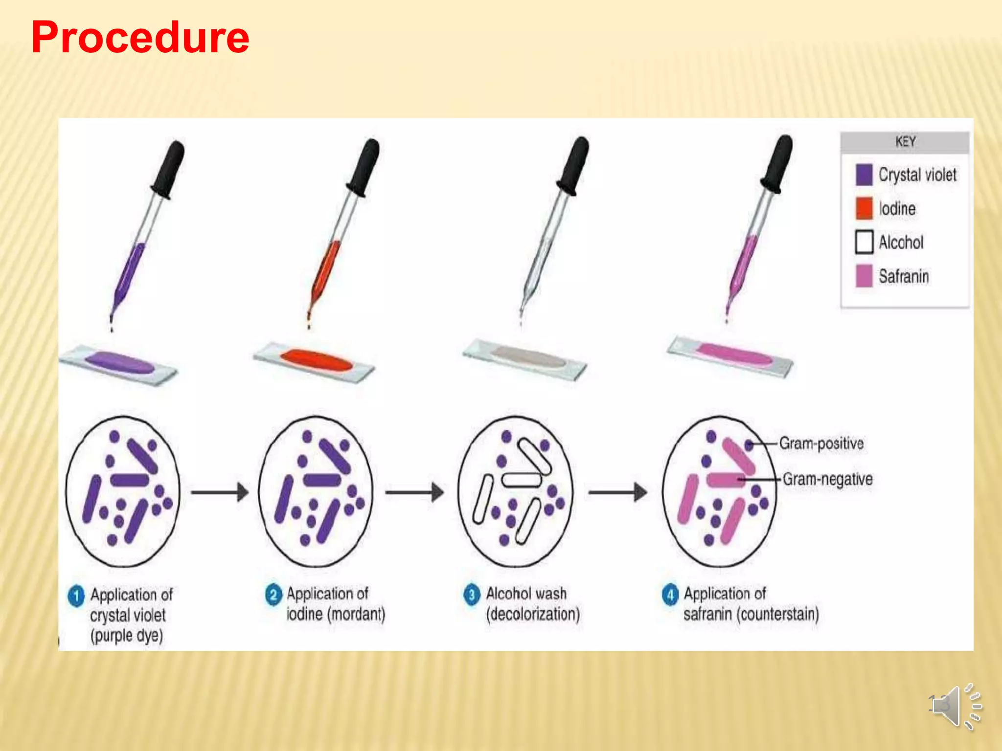 Staining techniques | PPTX