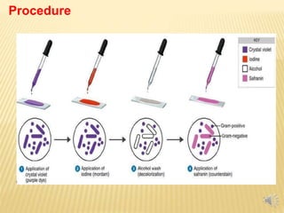 Staining techniques | PPTX