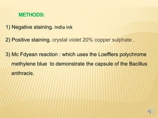 Staining techniques | PPTX