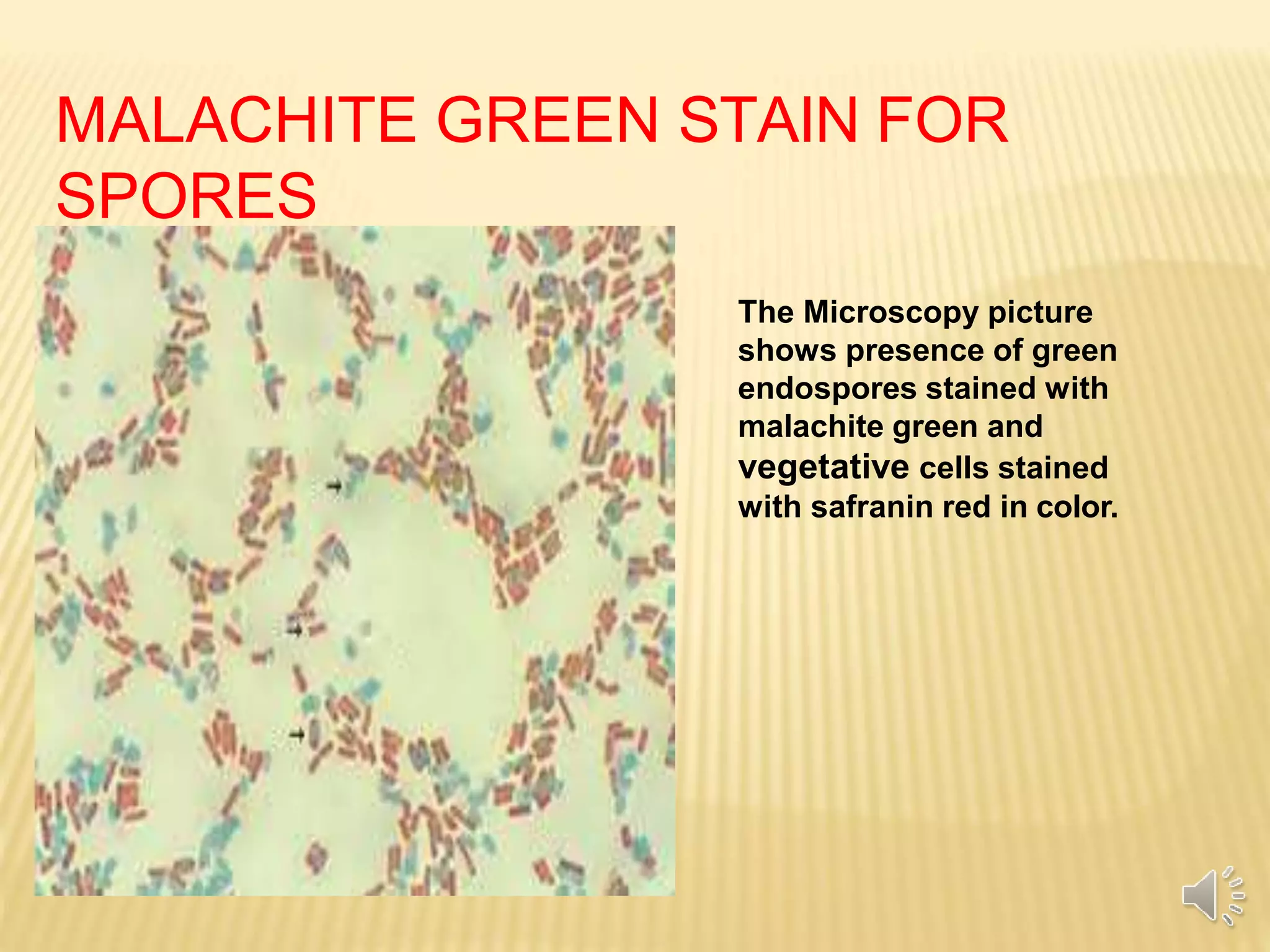 Staining techniques | PPTX