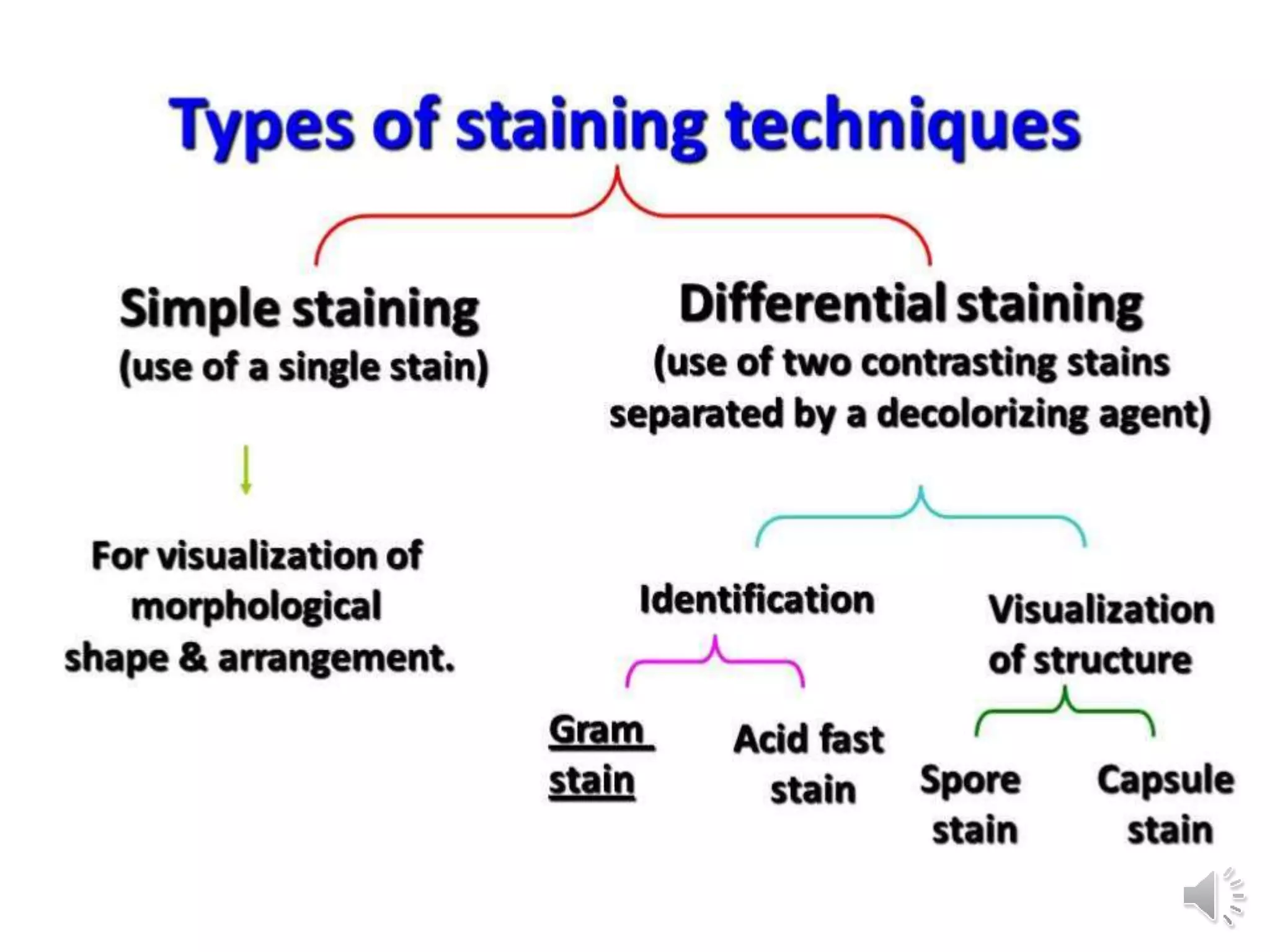 Staining techniques | PPTX