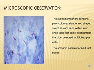 Staining techniques | PPTX