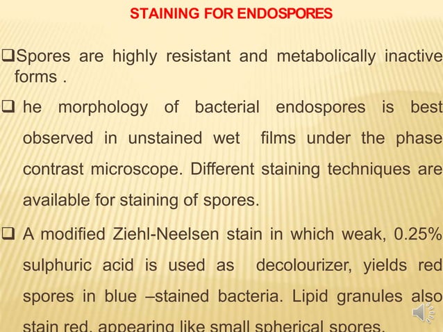 Staining techniques | PPT