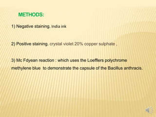 Staining techniques | PPTX