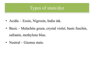 Staining techniques | PPT