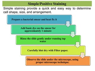 Staining techniques | PPT