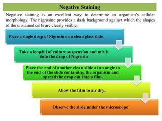 Staining techniques | PPT