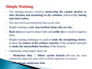 Staining techniques | PPT