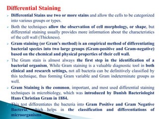 Staining techniques | PPT