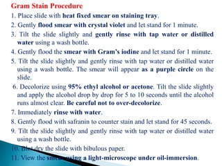 Staining techniques | PPT