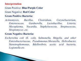 Staining Techniques Ppt 1302