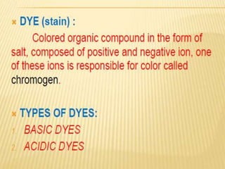 Staining techniques | PPT