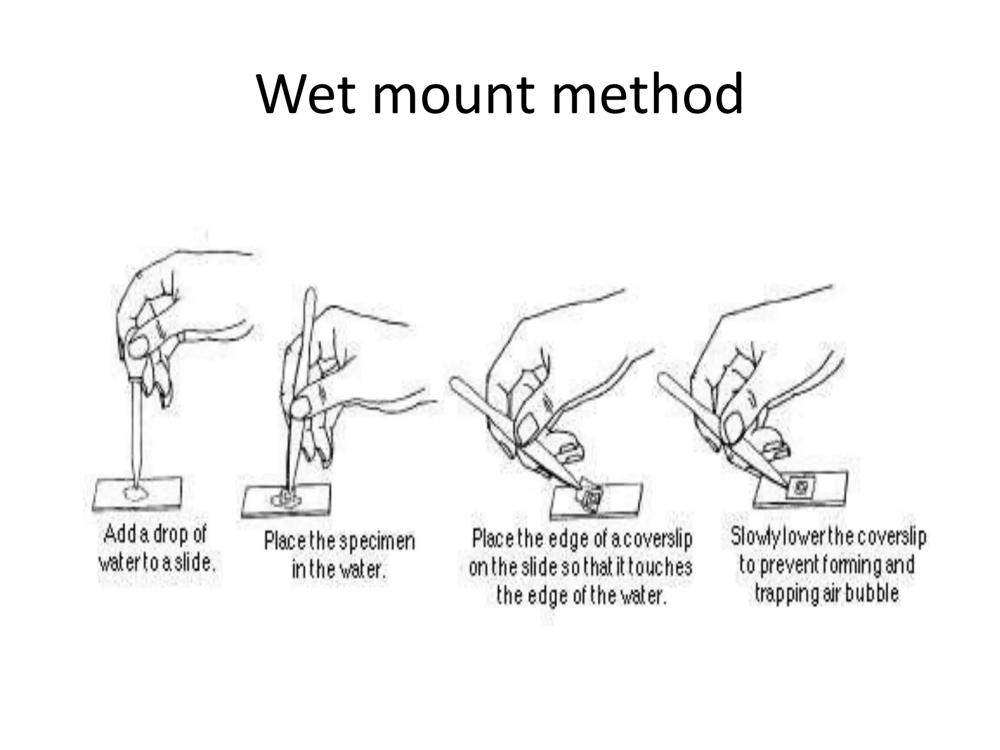 Staining techniques | PPTX