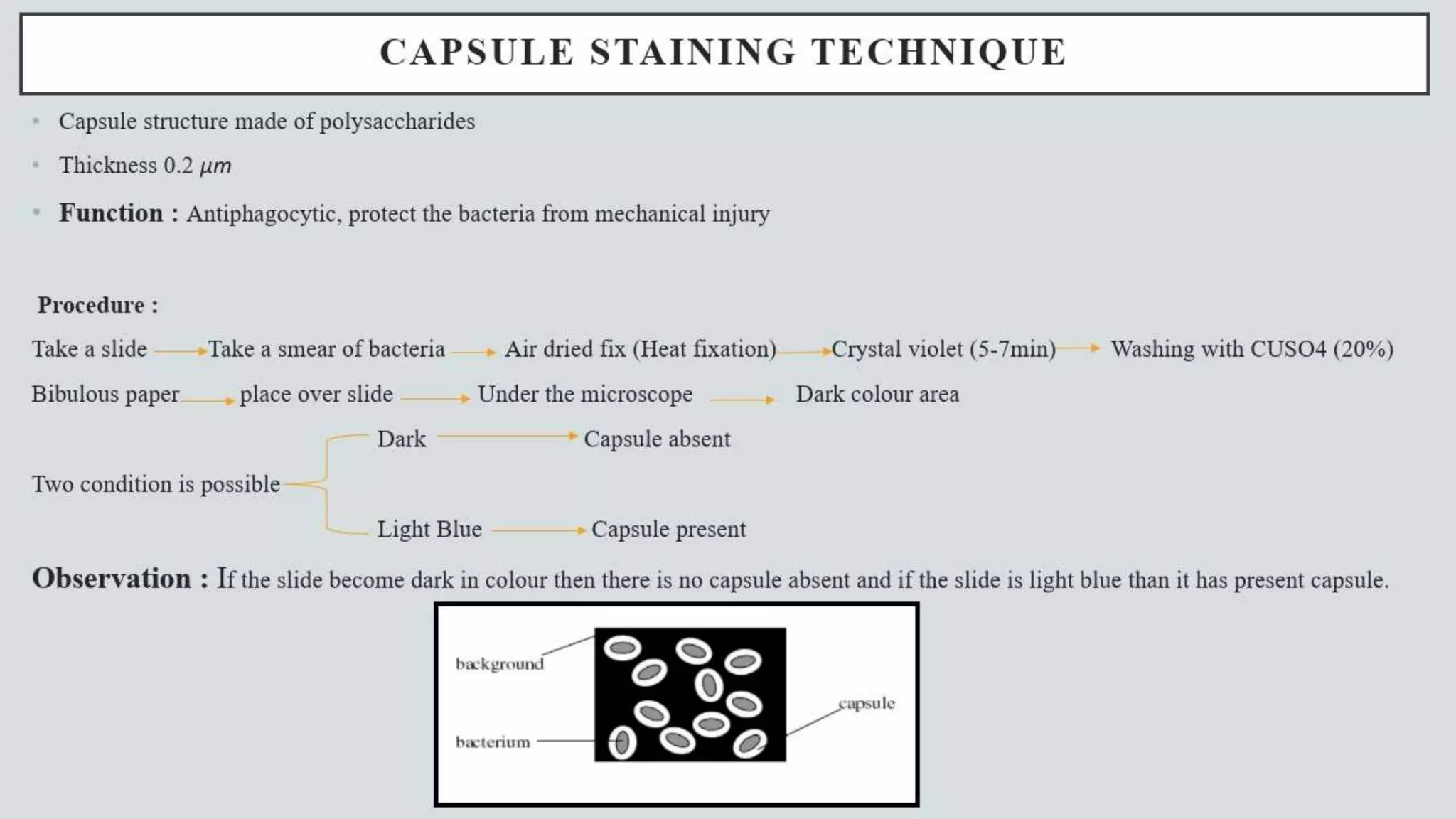 Staining techniques | PPT