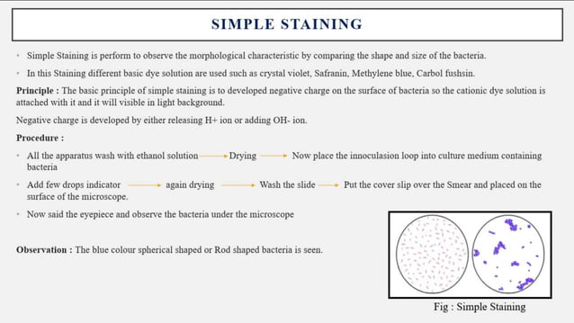 Staining techniques | PPT