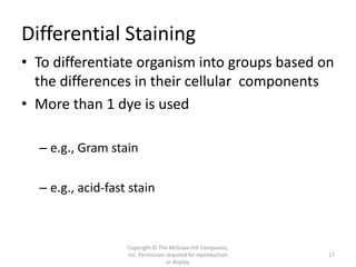 Staining techniques | PDF
