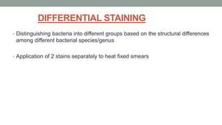 Staining techniques.pptx
