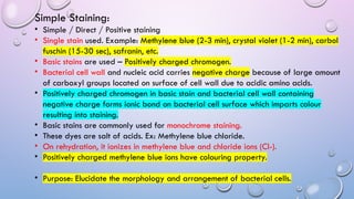 Staining techniques and Biochemical tests (IMViC).pptx