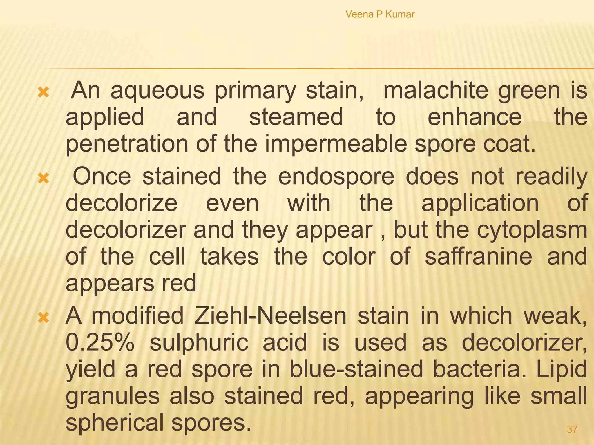 Staining techniques bacteria... | PPTX