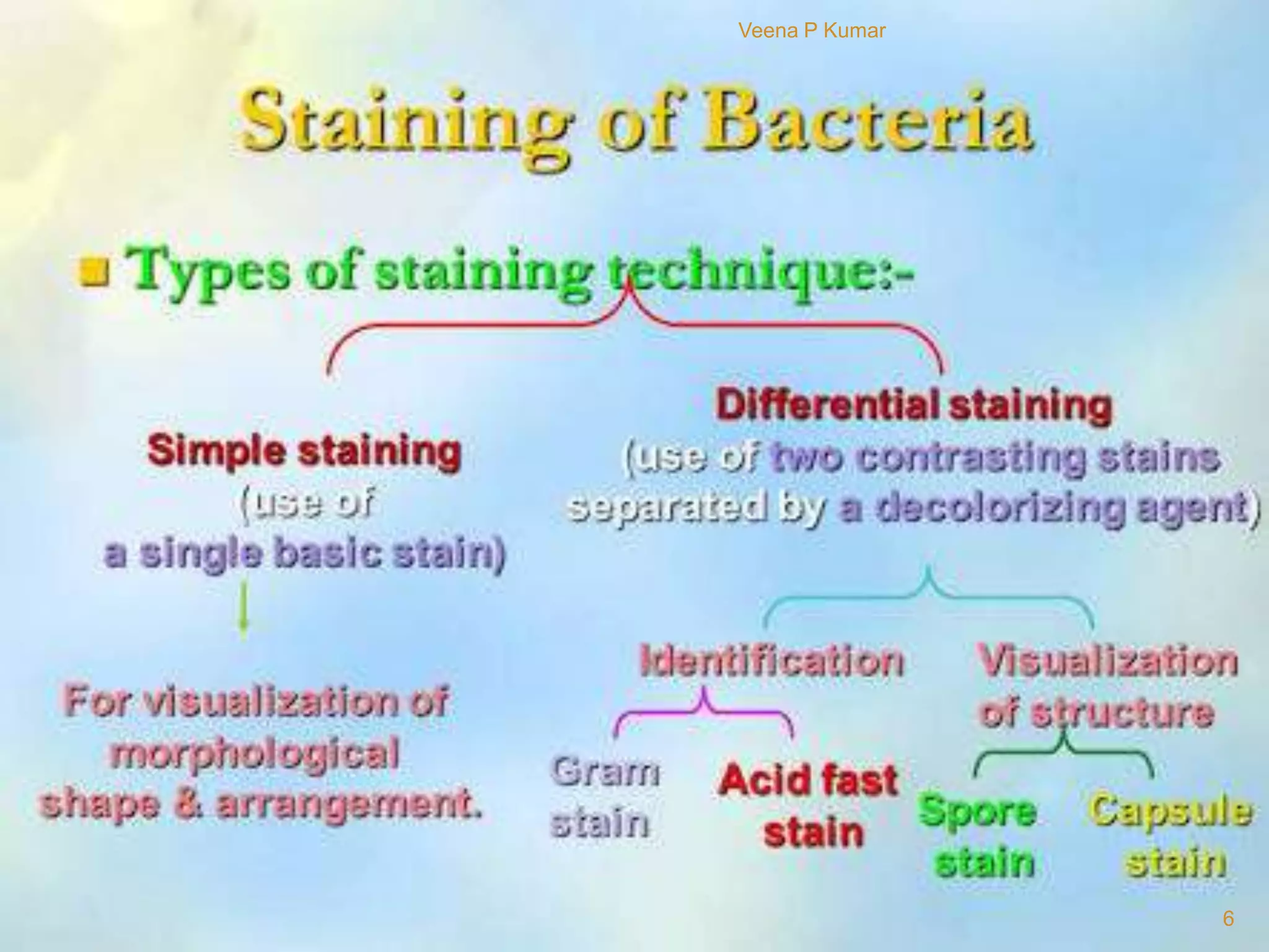 Staining techniques bacteria... | PPTX